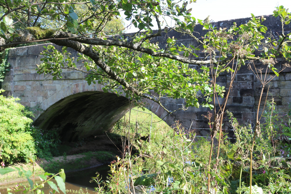 What's on in Wilmslow and Alderley Edge this week: Potato Day, Artisan ...