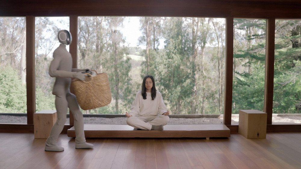 Company launch AI-controlled robot butler for your home | Technology ...