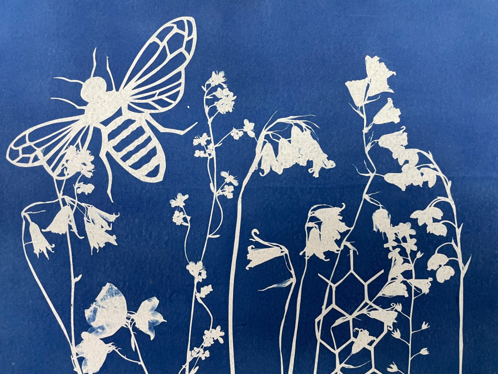 Cyanotype Printing With Papercutting | Arts & Crafts | News ...