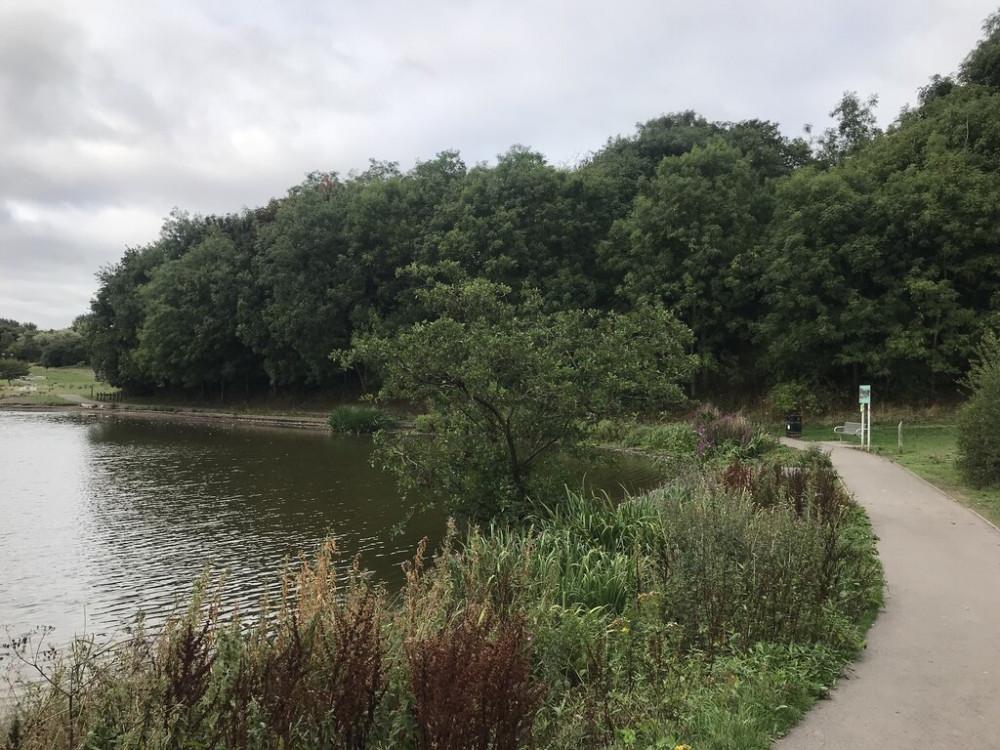 Police make arrest after two bikers tried to steal phones in Stoke-on-Trent park | Local News ...