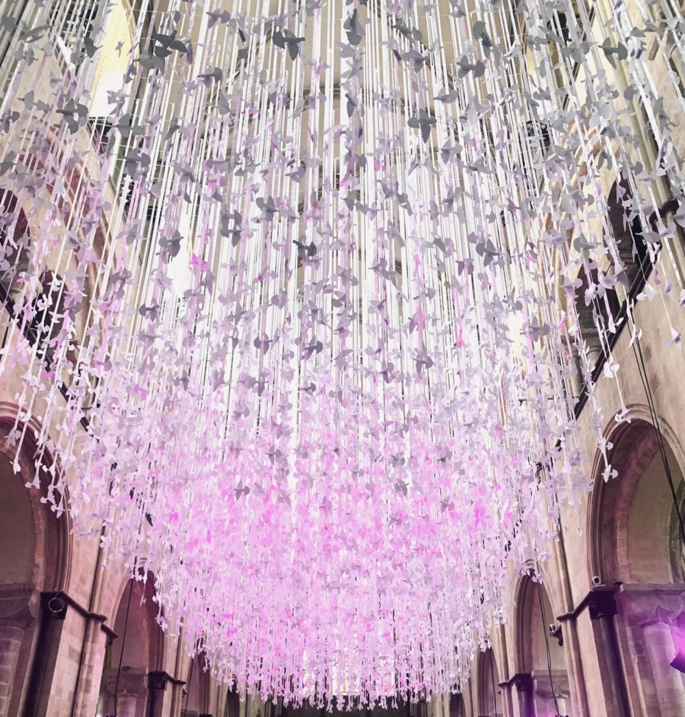 'Peace Doves' installation now open at Chester Cathedral | Local News ...