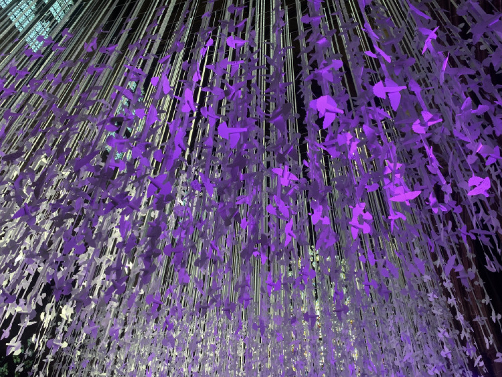 'Peace Doves' installation opens at Chester Cathedral | Local News ...