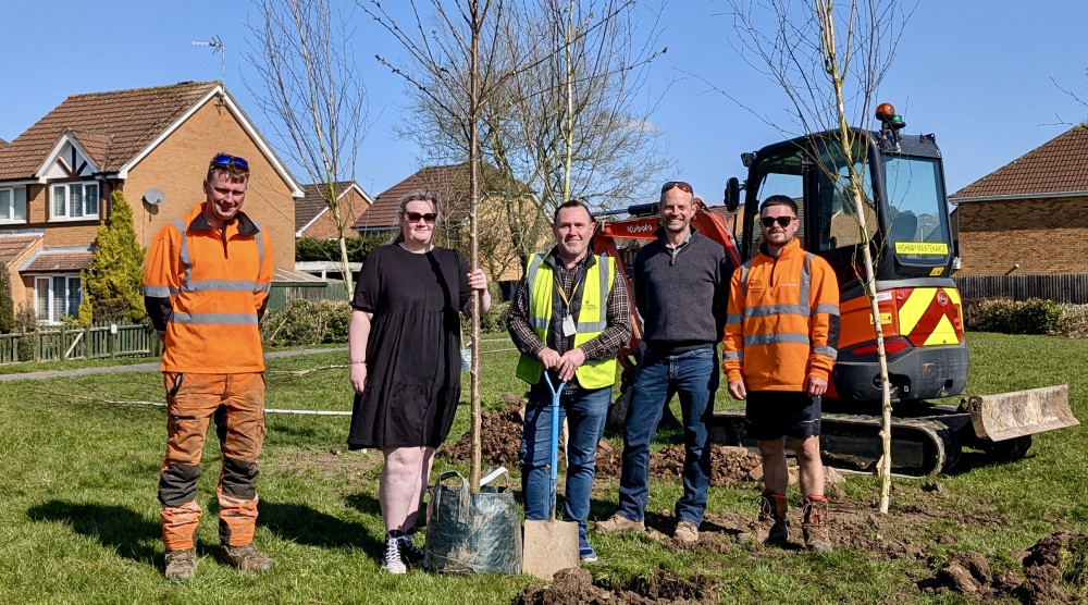 District Council plants 105 new trees in Coalville as part of soon to ...