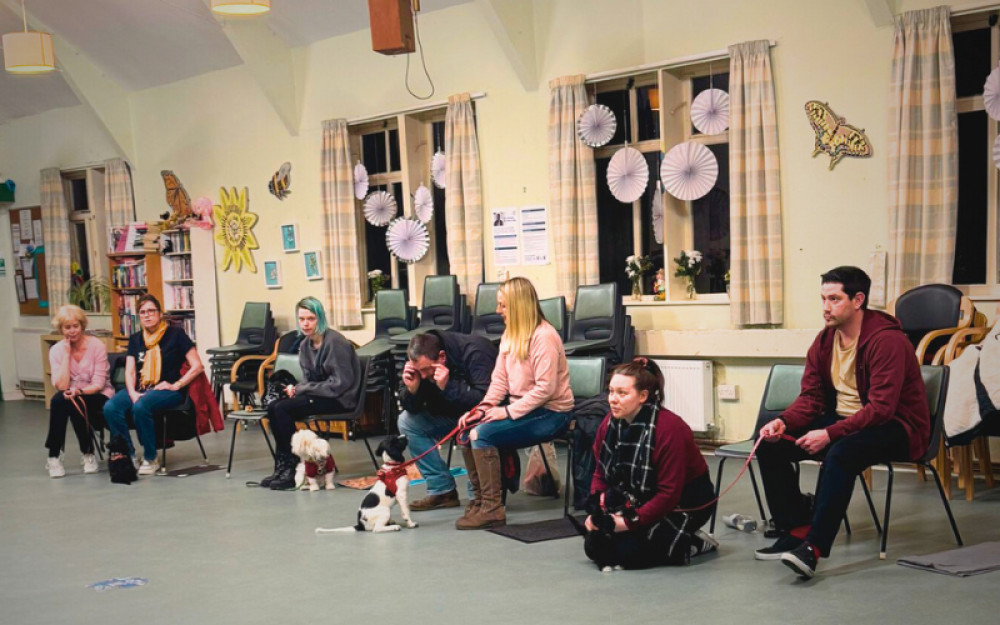 Local dog trainer to start six-part puppy training course in Teddington ...