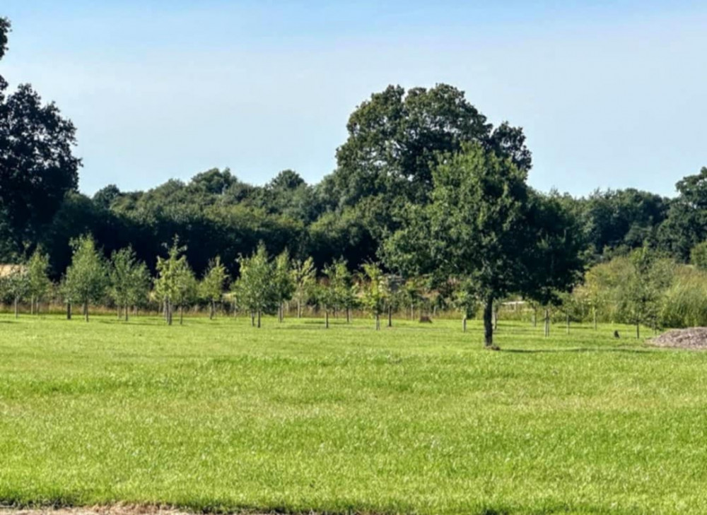Plans to allow coffin burials at Crewe ecological burial ground set to ...