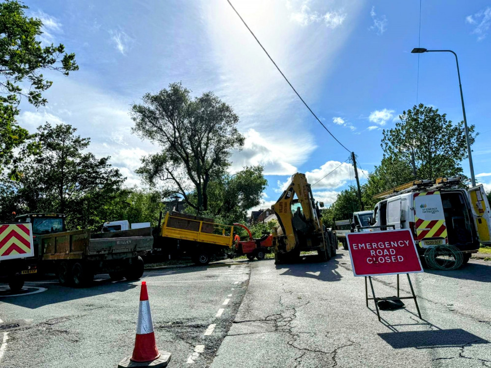 Major traffic delays after tree falls into road striking overhead power ...