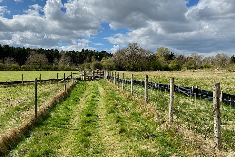 HS2 plans 76 metre bridge to carry Kenilworth footpath over new rail ...