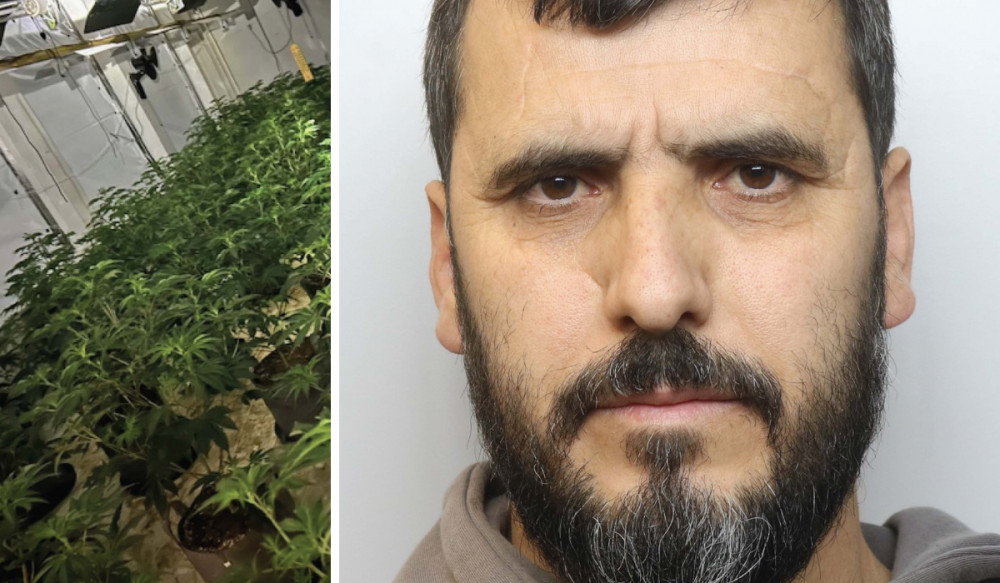 Man who turned former Macclesfield bank into cannabis farm jailed ...