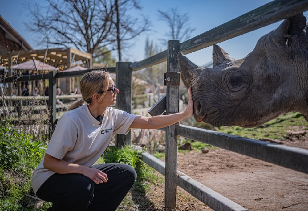 Brand new podcast takes listeners behind the scenes at Chester Zoo ...