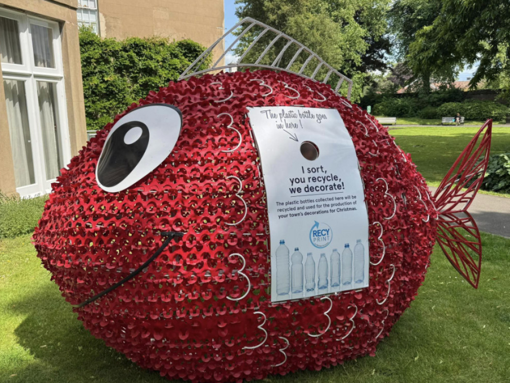 Name revealed for Warwick’s recycled fish sculpture created as part of ...