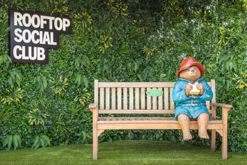 Paddington arrives at Rooftop Social Club | Local News | News | Chester ...