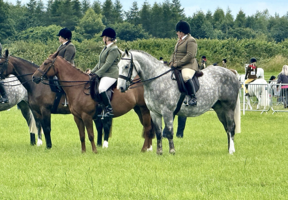 Everything you need to know about the 2025 Ashby Show | Local News ...