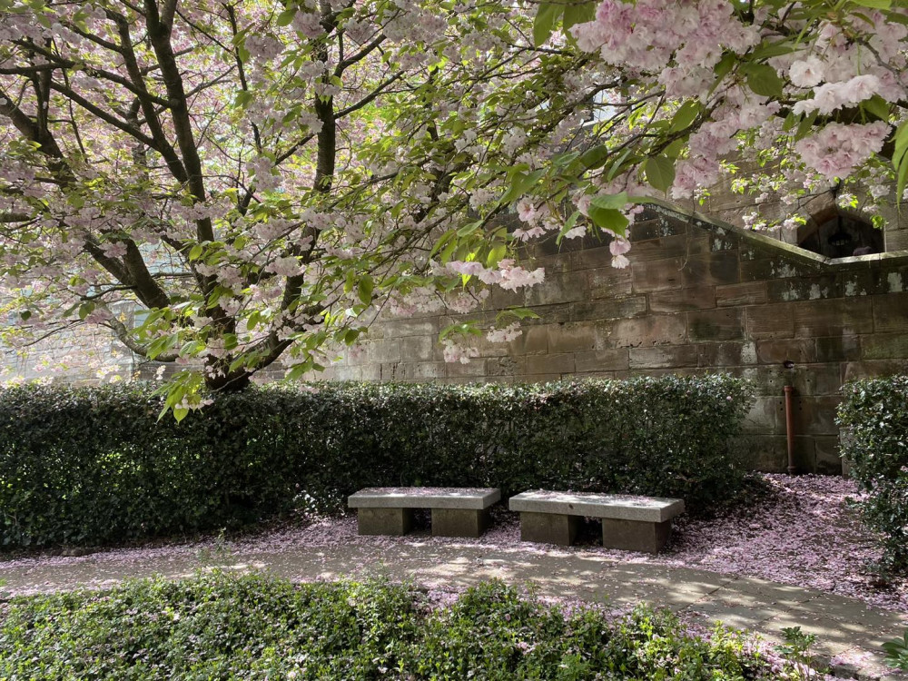 New jobs in Chester this week: Cheshire College, Countess of Chester ...