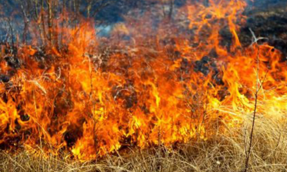 A39 shut between Glastonbury and Wells as crews battle large field fire | Local News | News ...