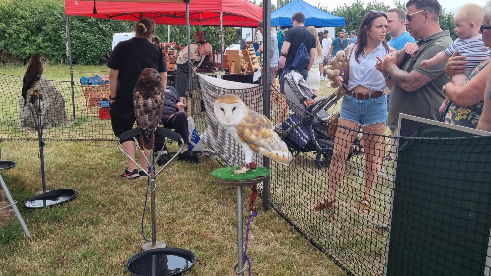 Gallery: Ashby Show 2025 | Local News | News | Ashby Nub News | by ...