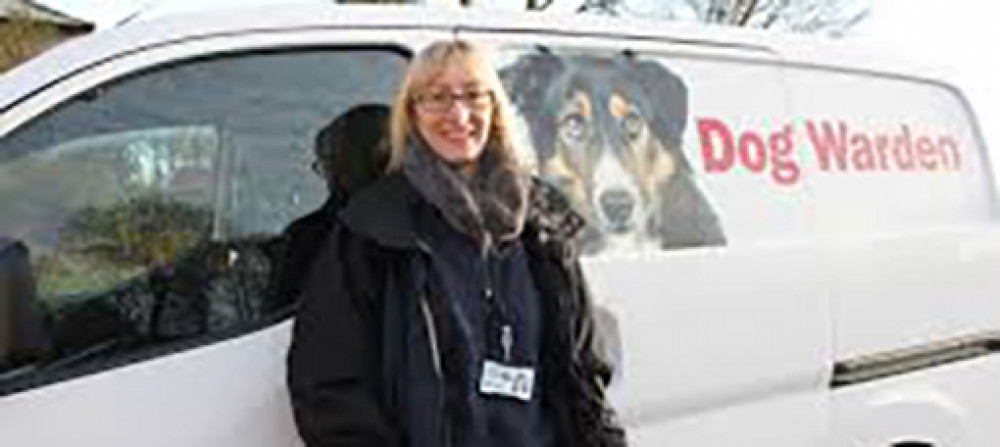 Canine alert - a warden is wanted | Local News | News | Dorchester Nub ...