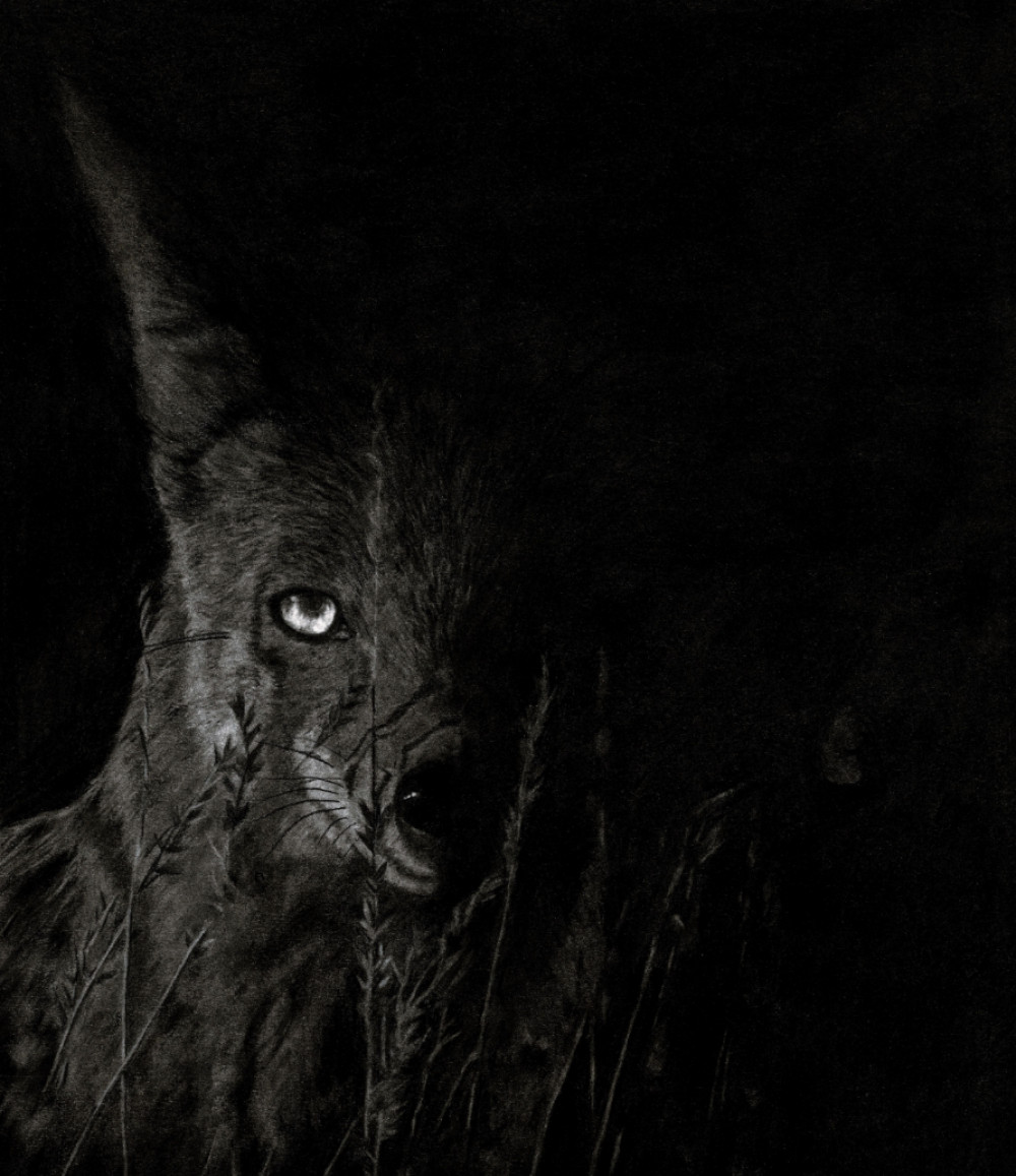 Local wildlife artist gains recognition in prestigious competitions ...