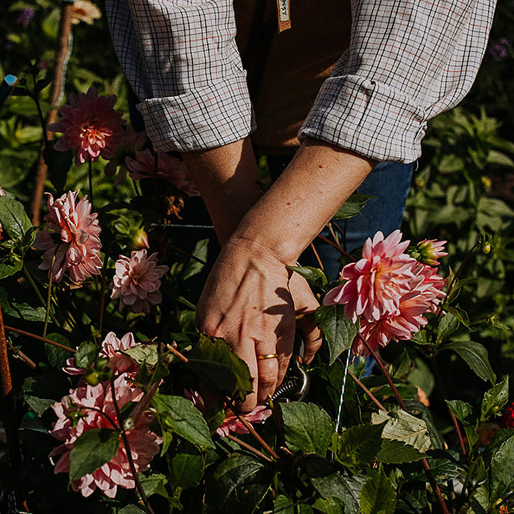 What's on this weekend in Oakham: Floral workshop, night swimming ...