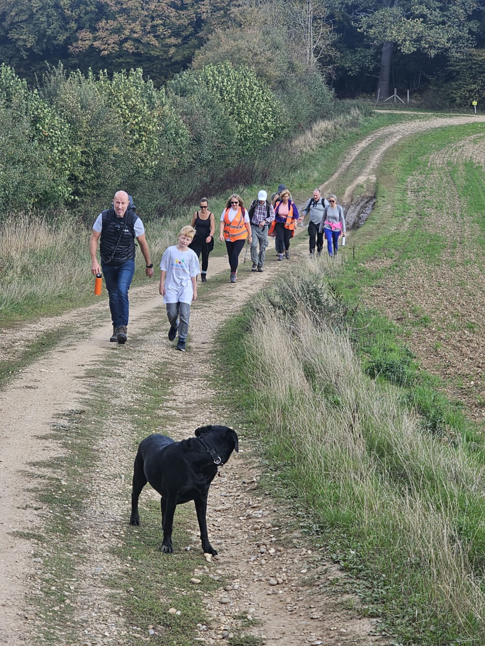 Great Big Walk for Herts raises £120k for children and young people’s ...