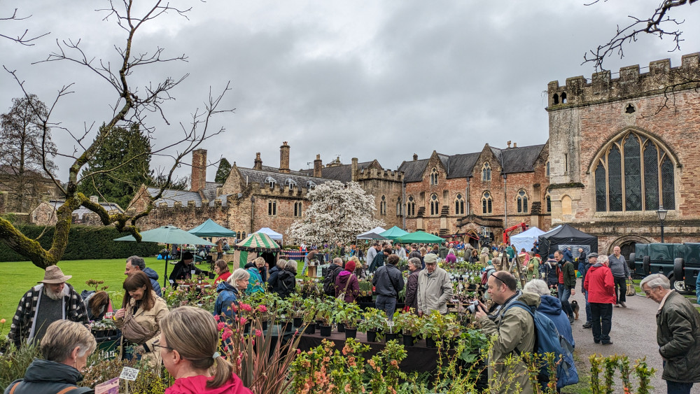 Rare Plant Fair 2026 | Fairs | News | Wells Nub News | by The Bishop's ...